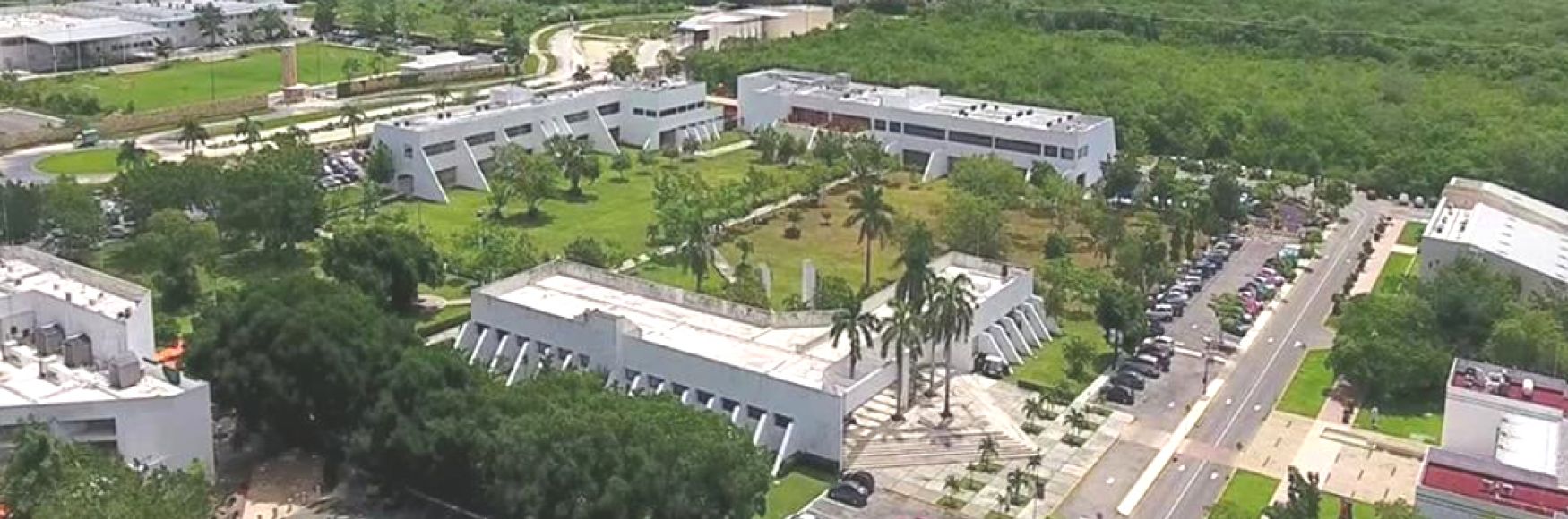 Anahuac Mayab University at Jessica Nicosia blog