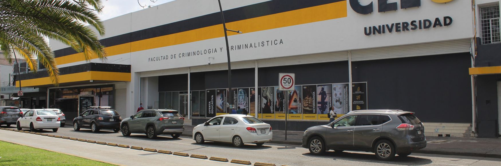 CLEU - Colegio Libre de Estudios Universitarios - Campus Guadalajara en ...